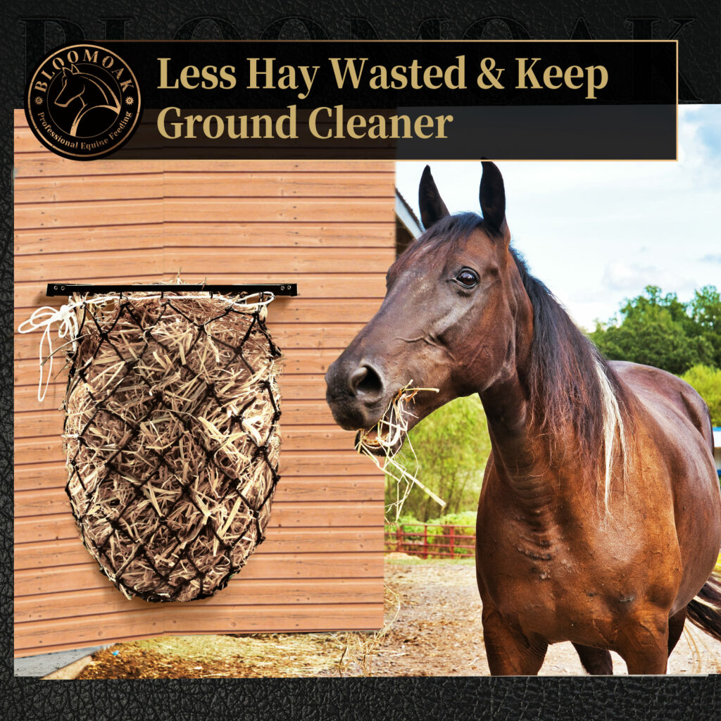 Wall Mounted Hay Rack with Hay Bag - Slow Feed Nets